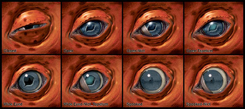 Dibujos de ojos diabolicos - Imagui