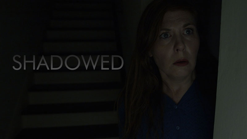 "Shadowed": corto que David F. Sandberg ha rodado en confinamiento